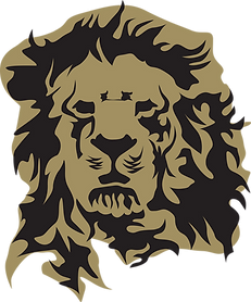 MEMBERSHIP | CA Gamma SAE